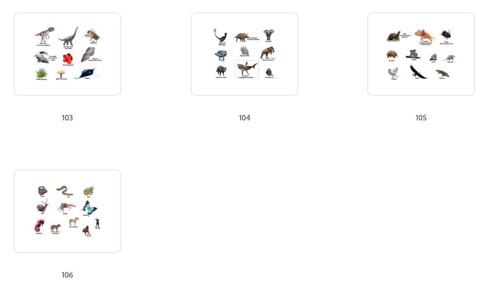 Montessori Timeline of Life Second Great Lesson Large Printable Format ...