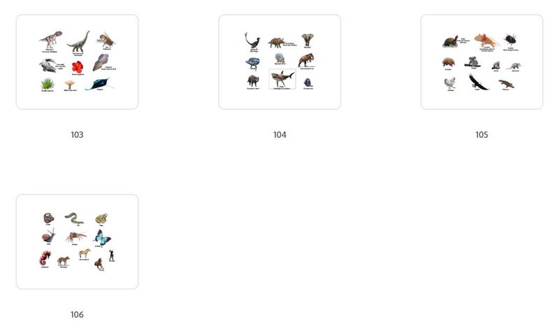 Montessori Timeline of Life Second Great Lesson Large Printable Format ...