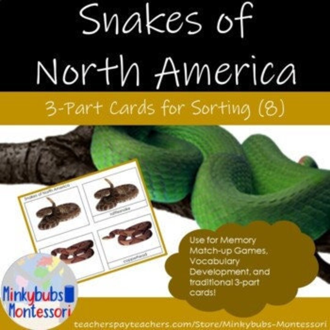Snakes of North America Montessori 3 Part Cards Memory Game Vocabulary ...