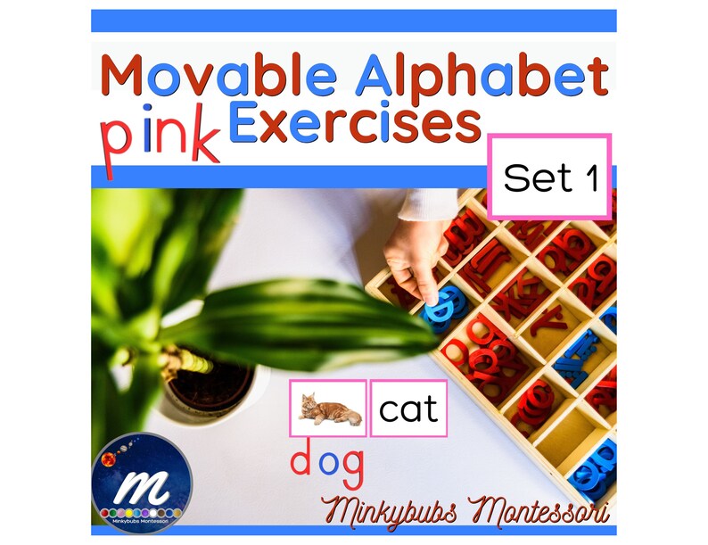 20 Movable Alphabet Pink Language Picture Cards Activity CVC Words Set ...