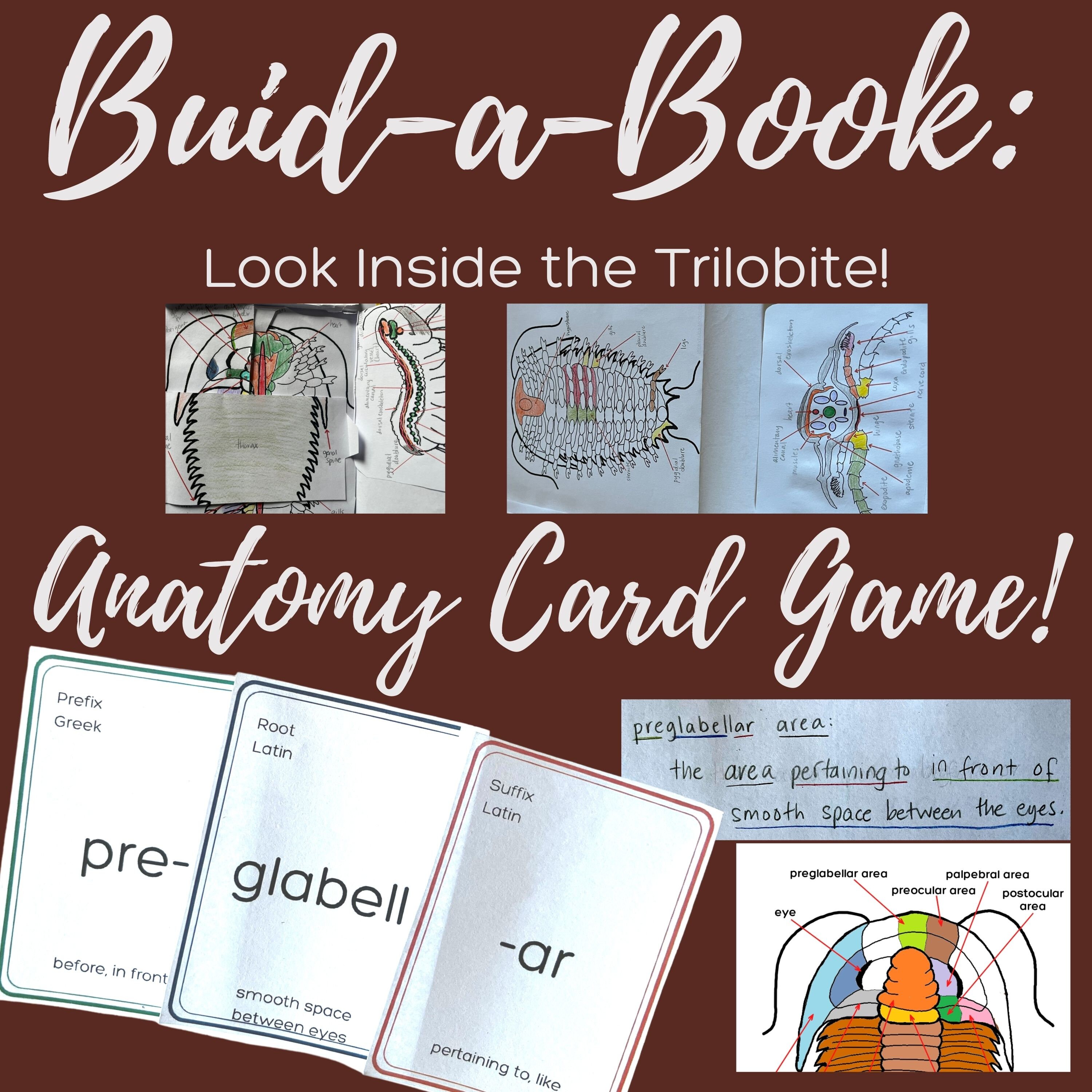 Trilobite Anatomy Virtual Dissection Paper Book and Build Arthropods ...