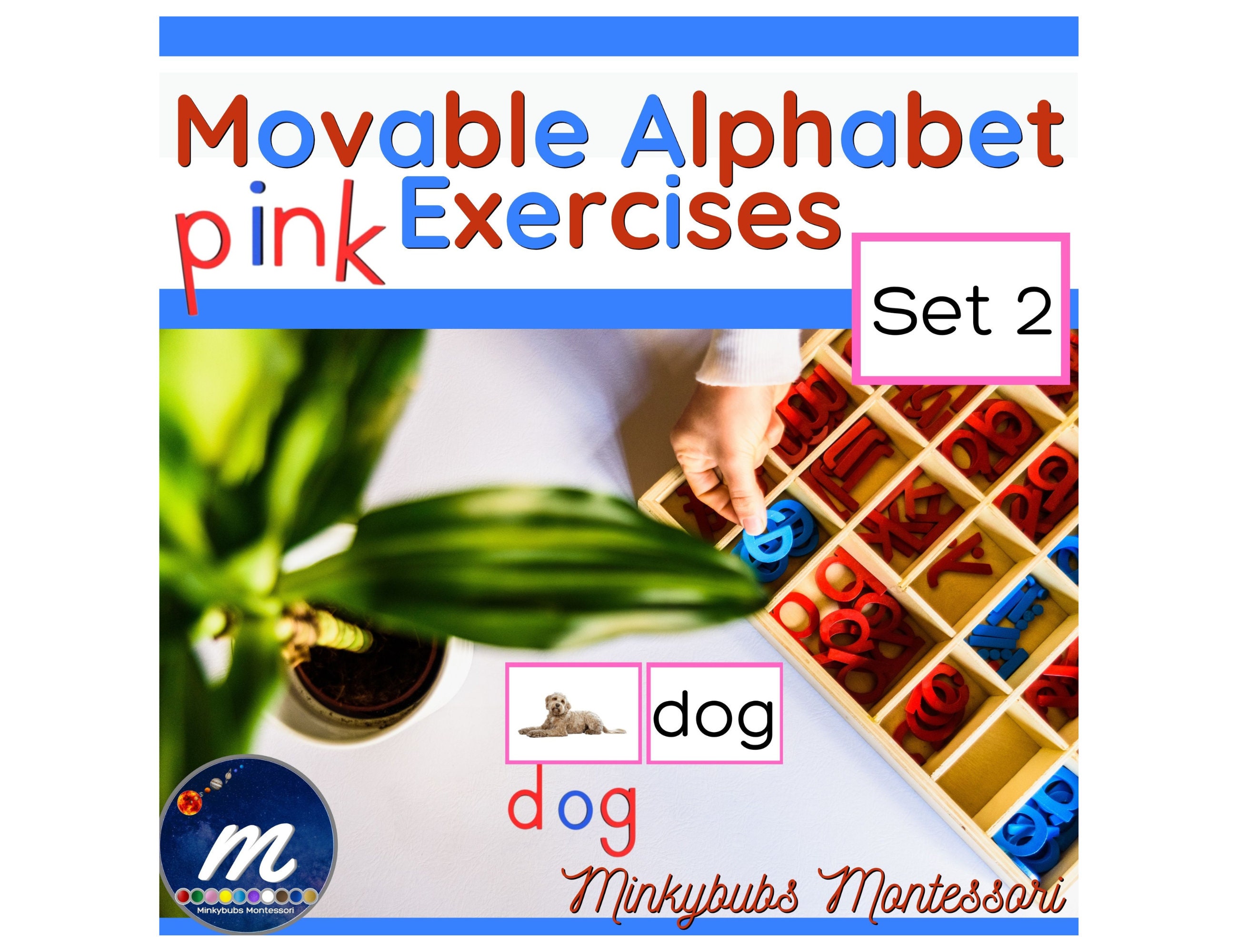 20 Movable Alphabet Pink Language Picture Cards Activity CVC Words Set ...