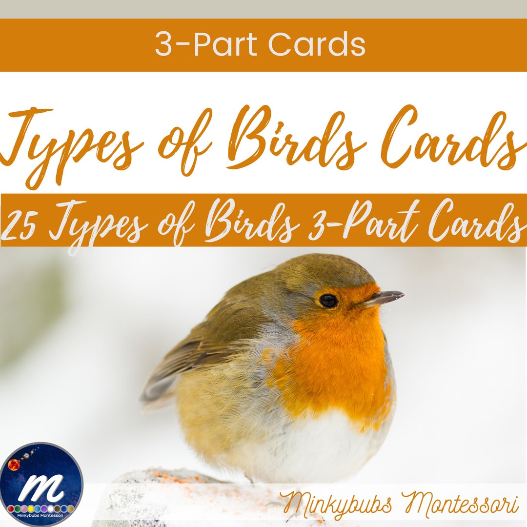 Types of Birds 3 Part Cards Montessori Classification Matching Memory ...