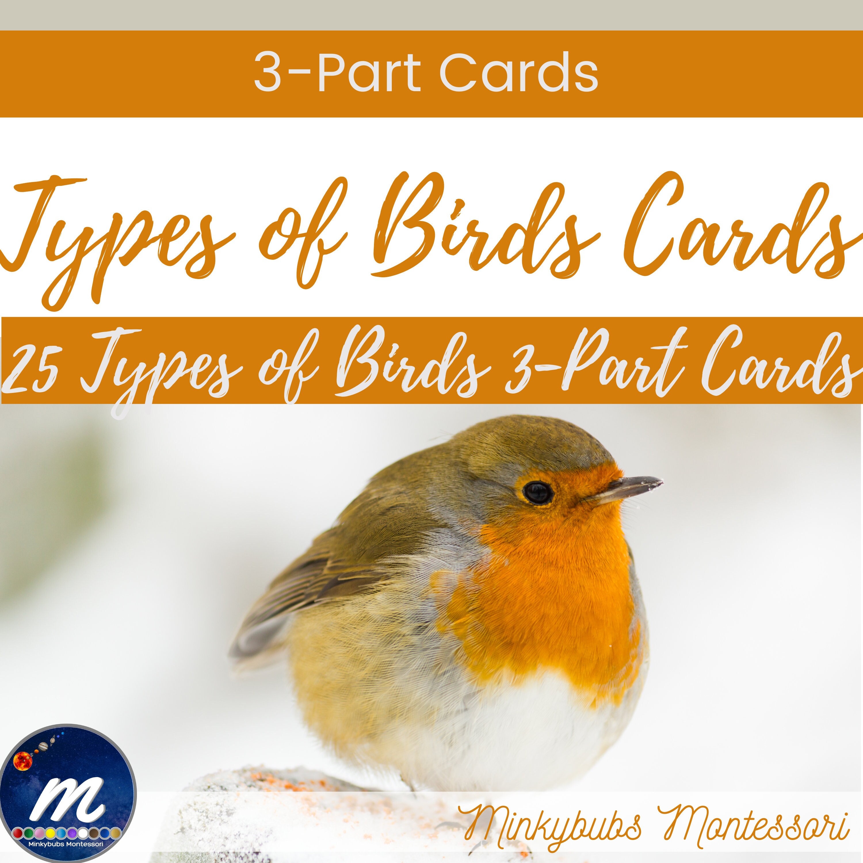 Types of Birds 3 Part Cards Montessori Classification Matching Memory ...