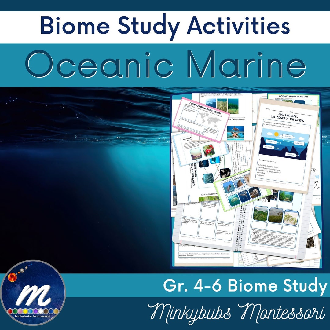 Ocean Marine Biome Unit Study - Etsy