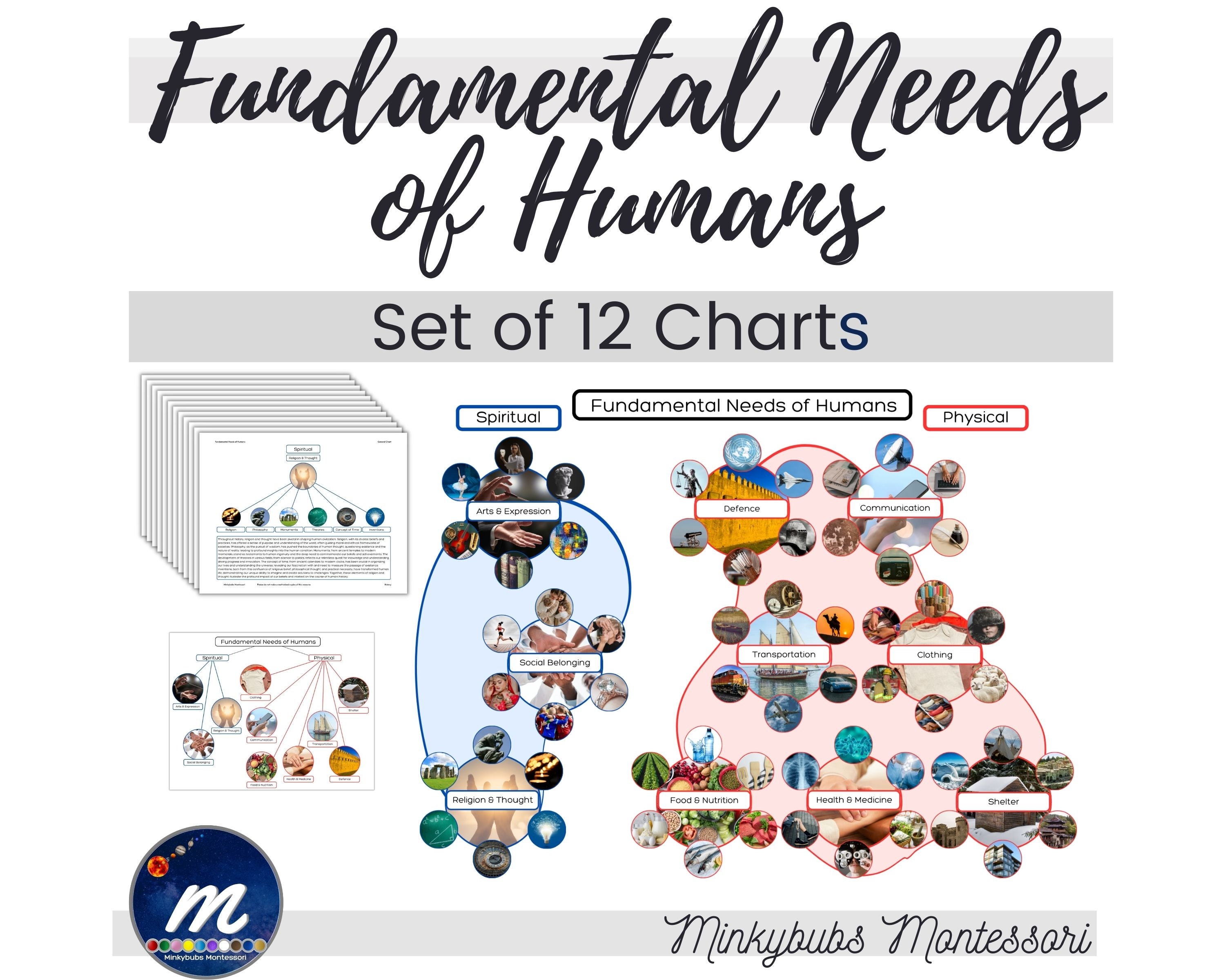 Fundamental Needs of Humans Charts Montessori 12 Posters Vertical ...