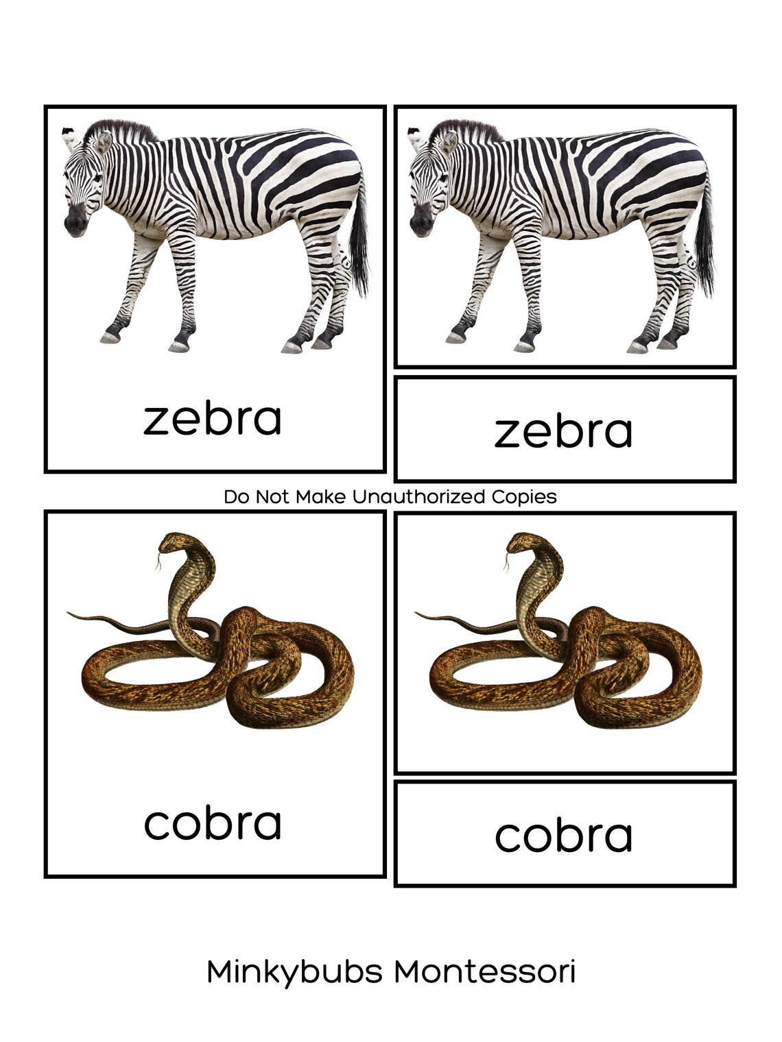 Classified Cards Wild Animals Montessori Set of 10 Common Wild Animal ...