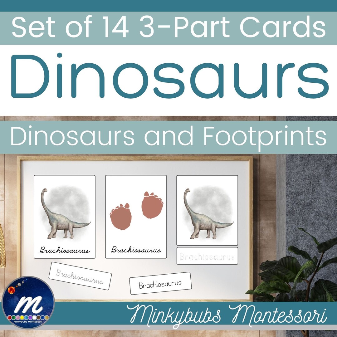 Dinosaurs and Footprints 3 Part Cards Montessori Classification ...