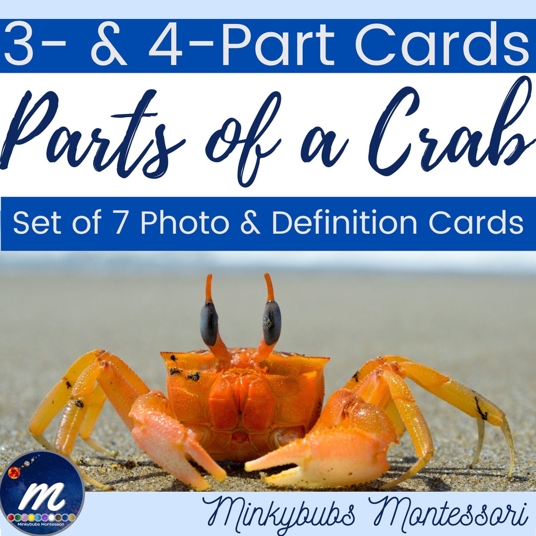Crab 3 Part Cards Definitions and Nomenclature Crustacean Anatomy ...