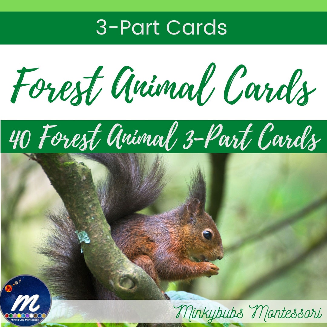Forest Animal 3 Part Cards Montessori Matching Task Memory Vocabulary ...