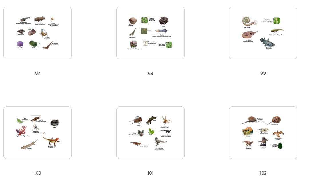 Montessori Timeline of Life Second Great Lesson Large Printable Format ...