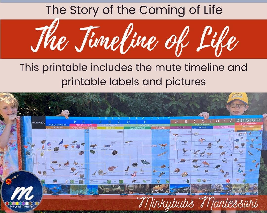 Montessori Timeline of Life Second Great Lesson Large Printable Format ...