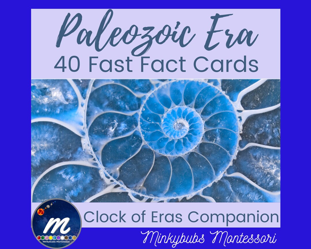 Paleozoic Era Fast Fact Cards 40 Cards Montessori Companion to Clock of ...