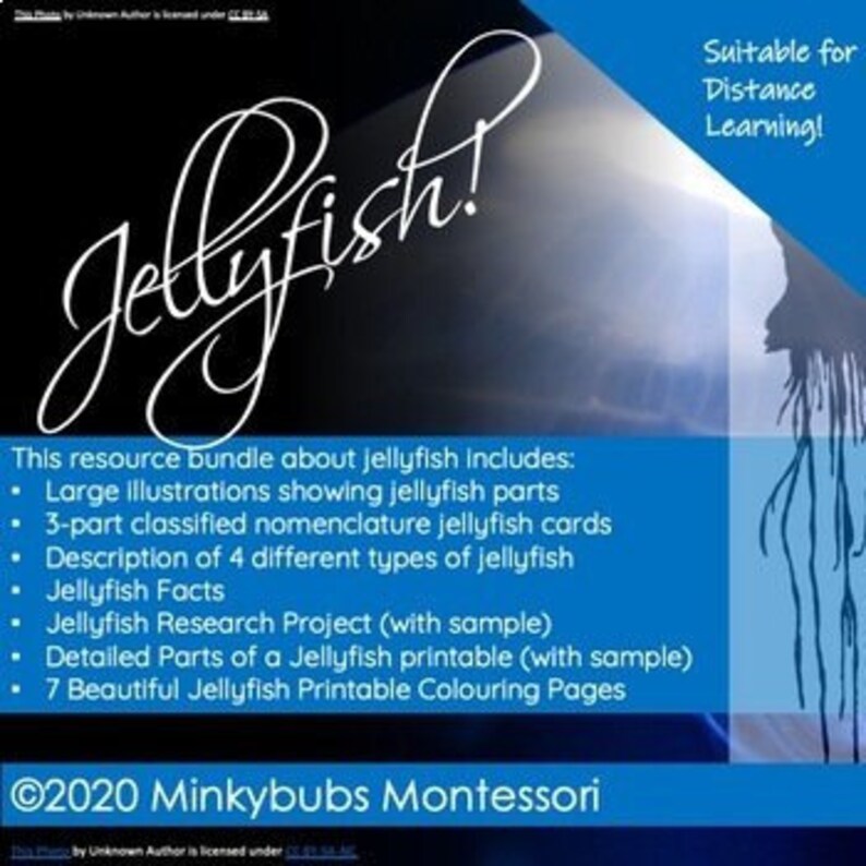 Jellyfish Activities Resources Pack Including Printables - Etsy