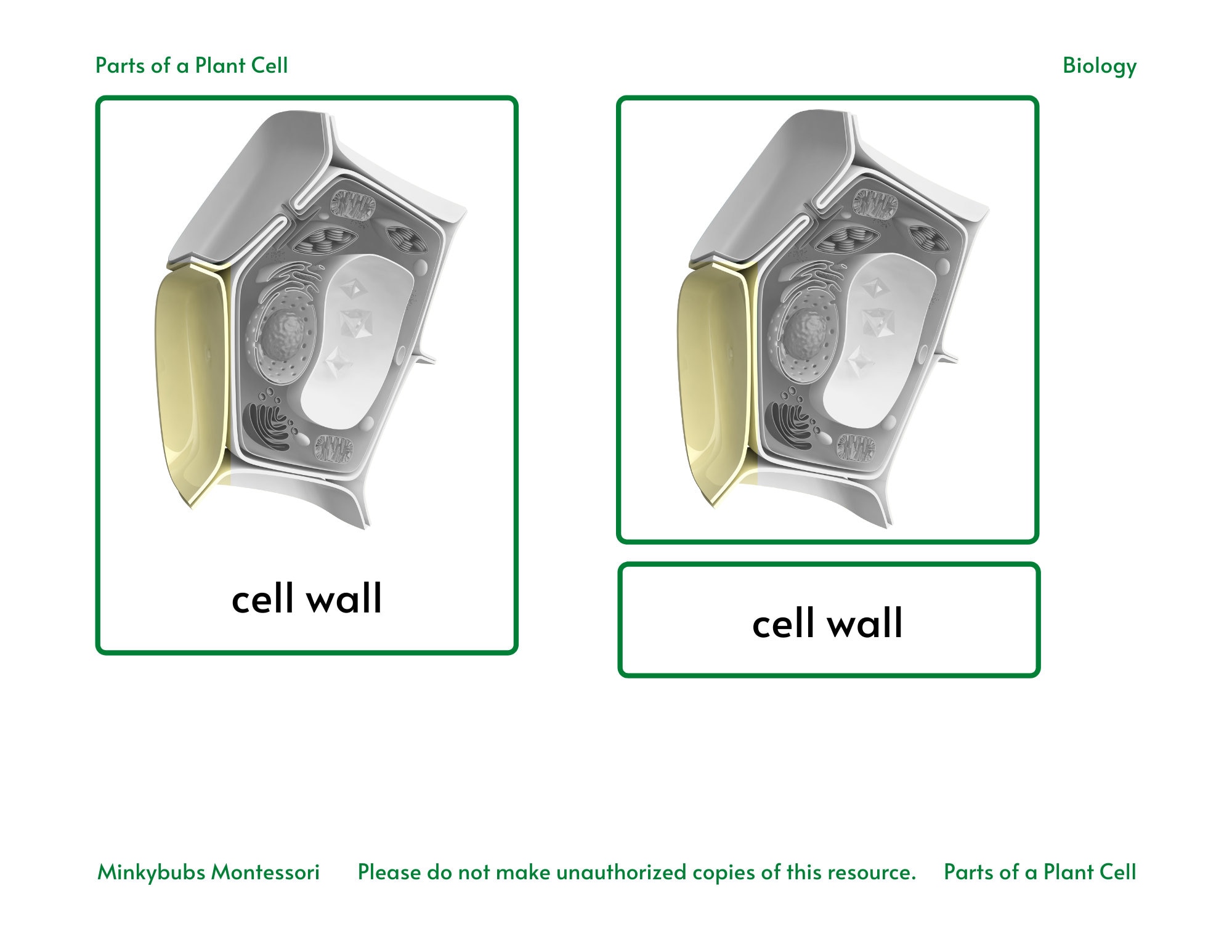 Parts of a Plant Cell 3 Part Cards - Etsy