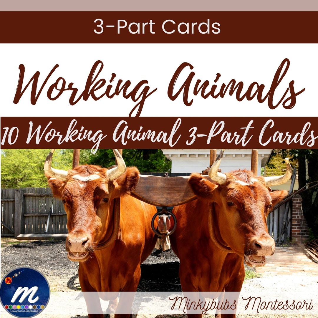 Working Animal 3 Part Cards Montessori Matching Task Memory Vocabulary ...