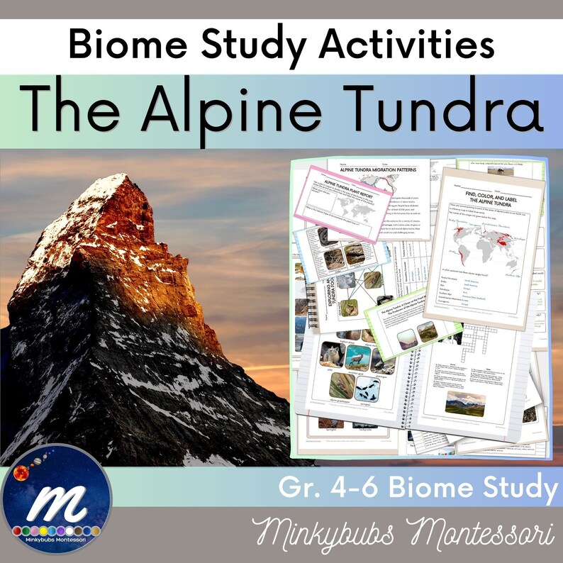 Alpine Tundra Biome Unit Study - Etsy