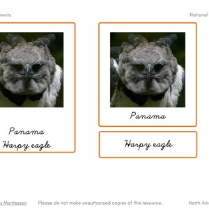 National Birds of North America Geography Montessori 3 Part Cards Print ...