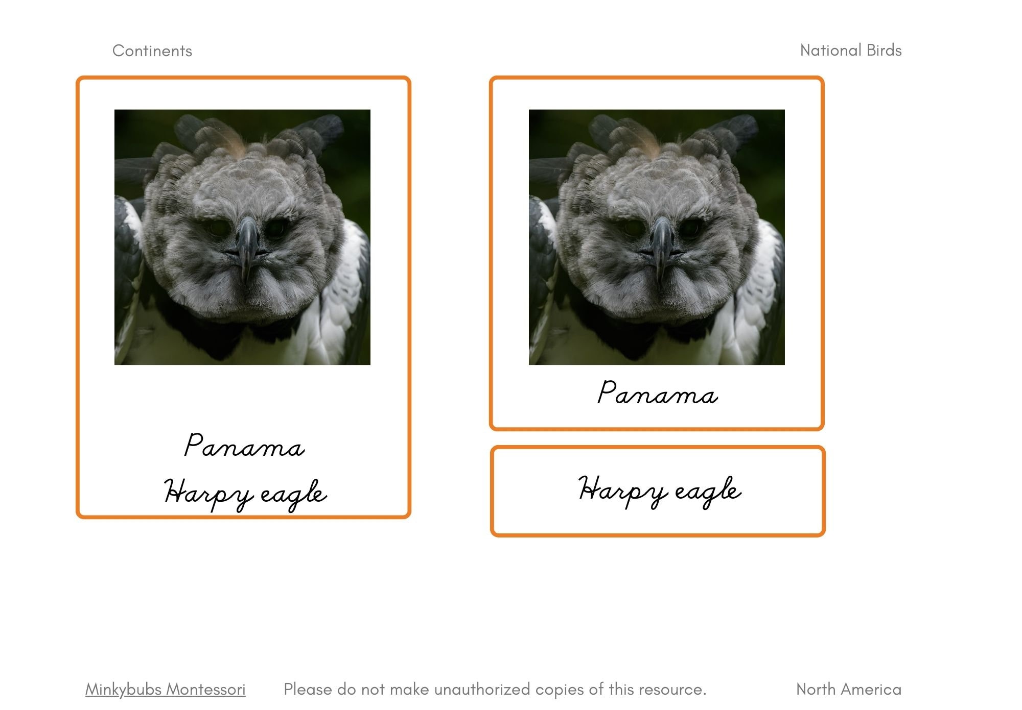 National Birds of North America Geography Montessori 3 Part Cards Print ...