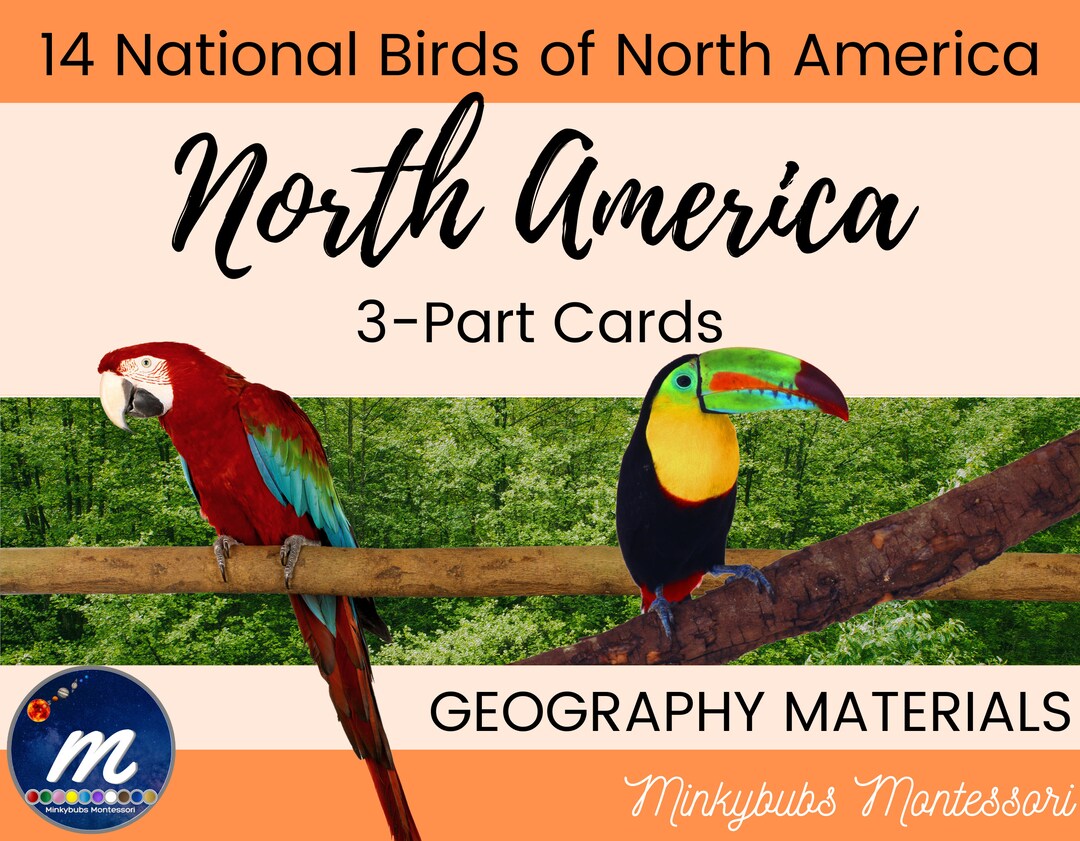 National Birds of North America Geography Montessori 3 Part Cards Print ...