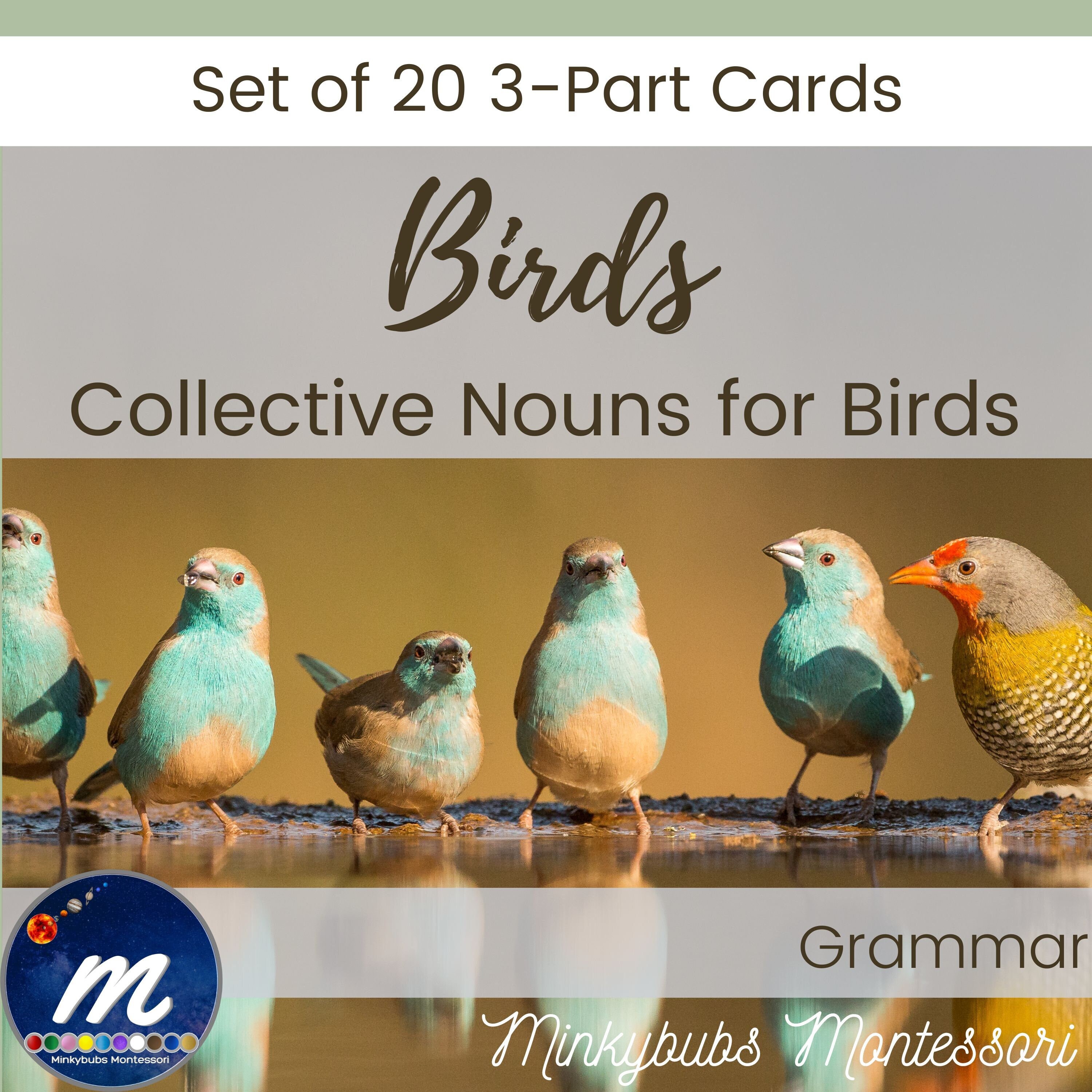 Collective Nouns for Birds 3-part Cards Montessori Grammar English Fun ...