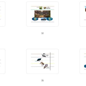 Montessori Timeline of Life Second Great Lesson Large Printable Format ...