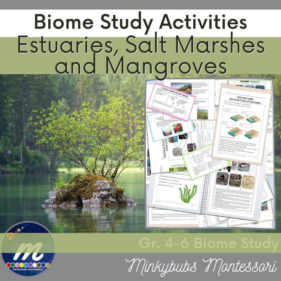 Estuaries Salt Marshes Mangroves Marine Biome Unit Study - Etsy