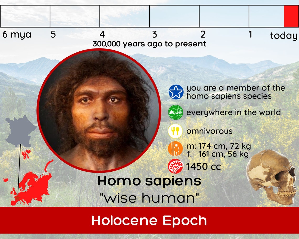 Montessori Great Story of Coming of Humans Third Great Lesson - Etsy