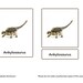 Dinosaurs Montessori 3 Part Cards With Picture and Labels for Sorting ...
