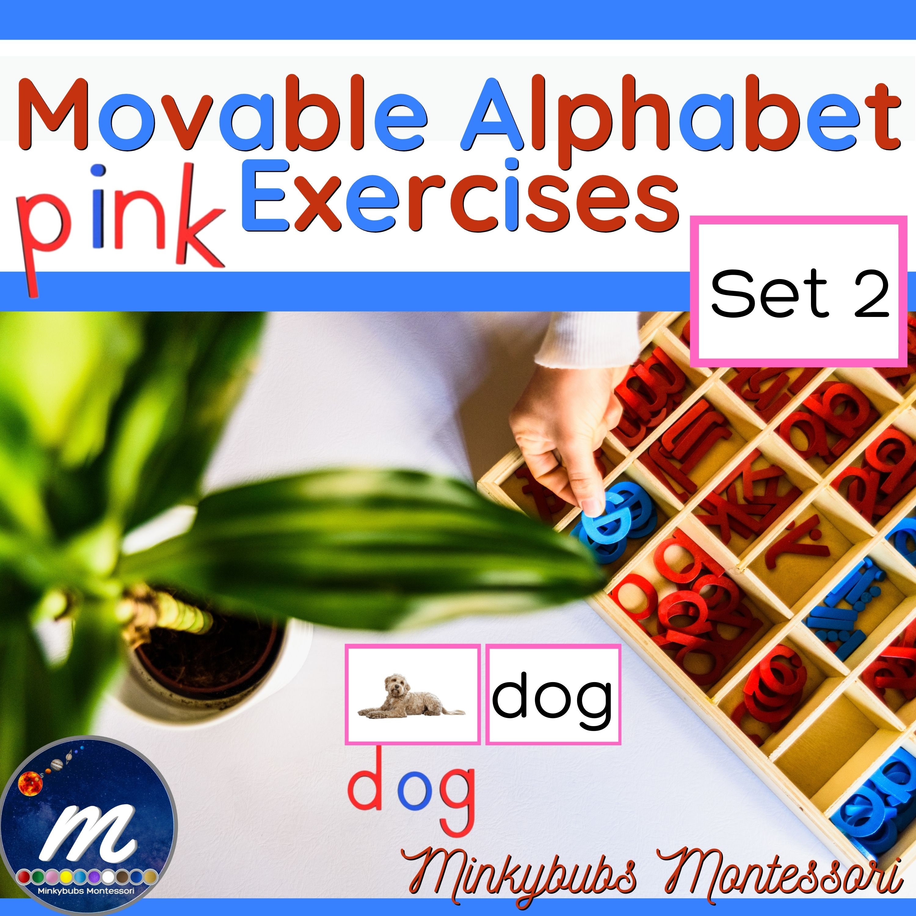 20 Movable Alphabet Pink Language Picture Cards Activity CVC Words Set ...