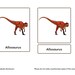 Dinosaurs Montessori 3 Part Cards With Picture and Labels for Sorting ...