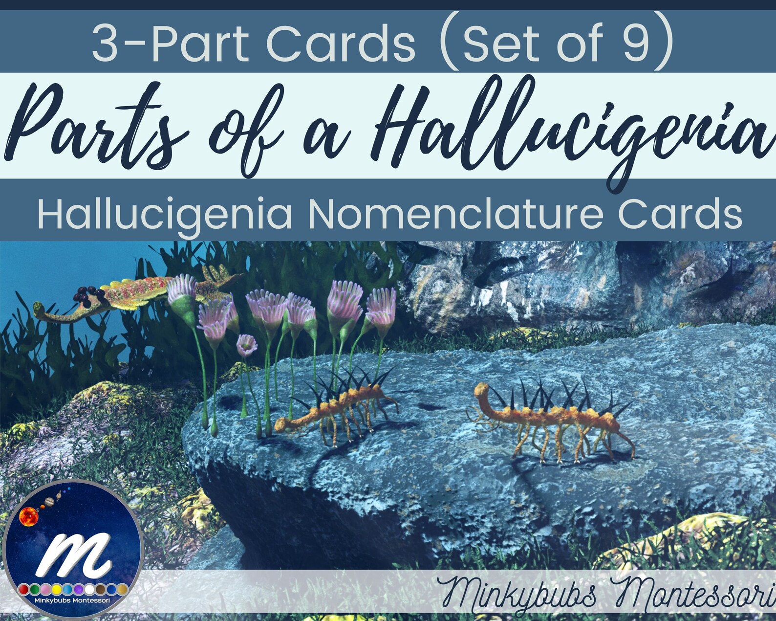 Cambrian Animals 3 Part Cards Parts of the Hallucigenia Montessori - Etsy