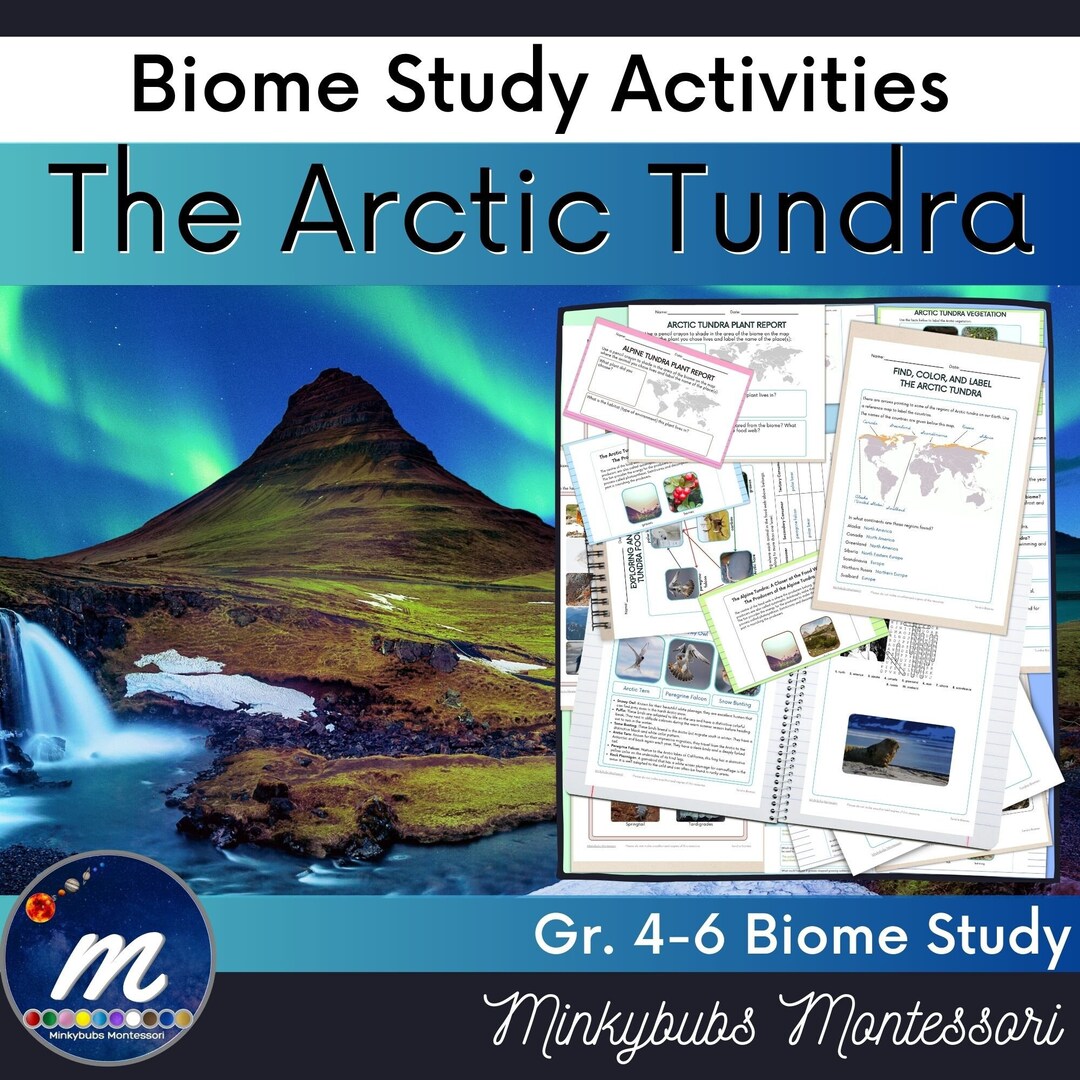 Arctic Tundra Biome Unit Study - Etsy