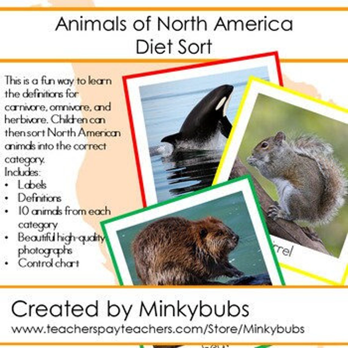 Carnivores, Omnivores, Herbivores of North America Sorting Cards ...