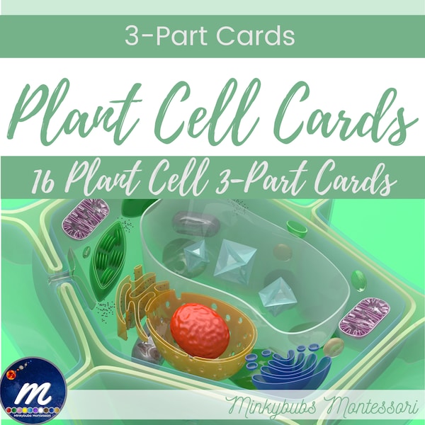 Plant Cell - Etsy