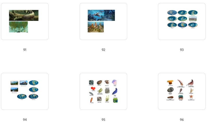 Montessori Timeline of Life Second Great Lesson Large Printable Format ...