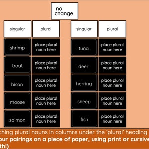Montessori Grammar Box 2-4C BOOM Articles & Nouns Parts Speech Virtual ...