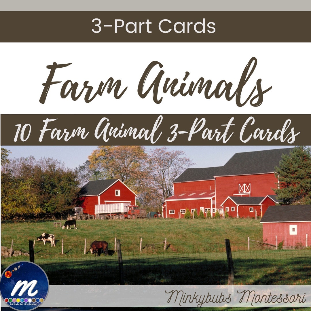 Farm Animals 3 Part Cards - Etsy