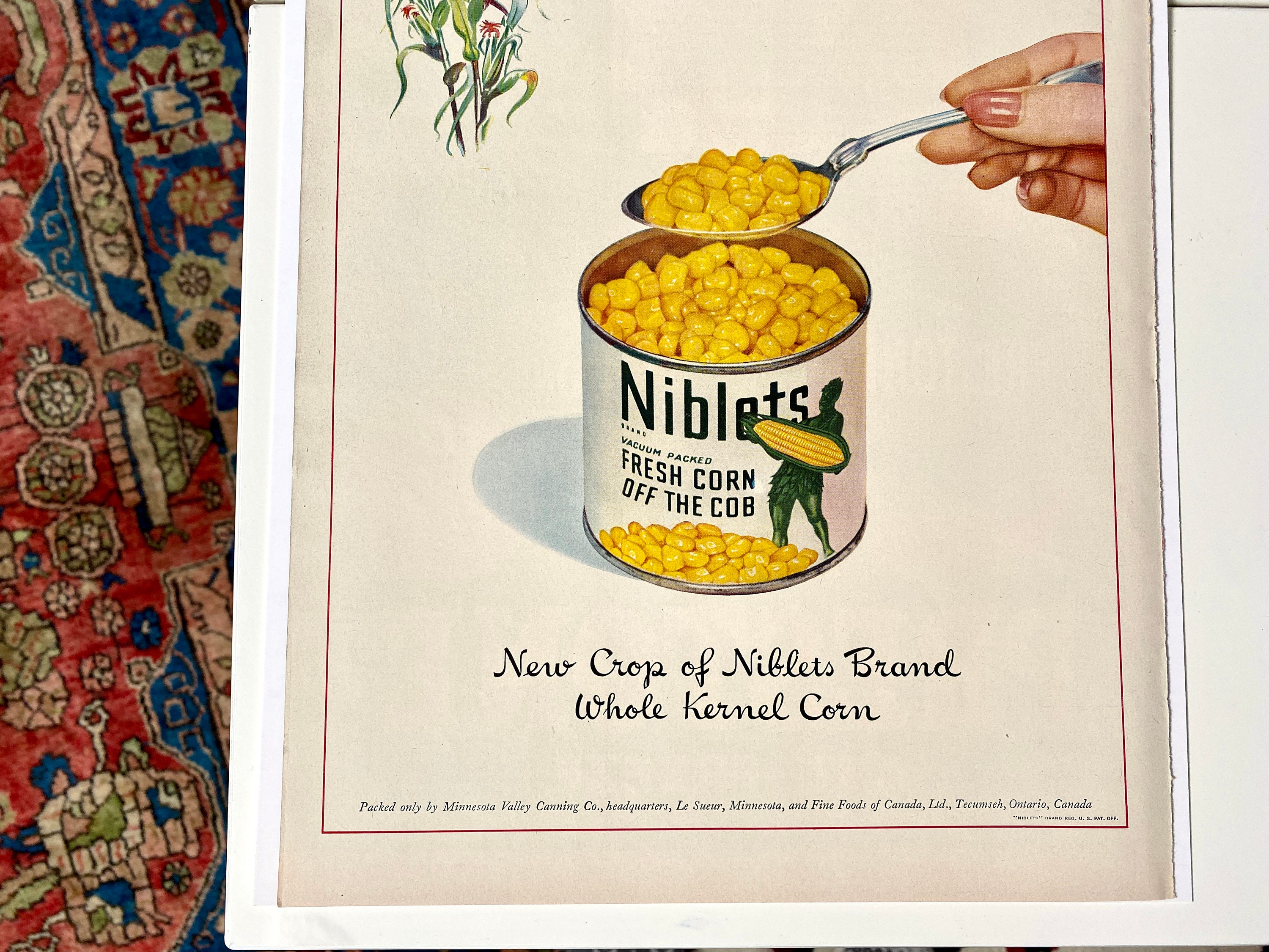 Green Giant Canned Corn Recipes | Bryont Blog
