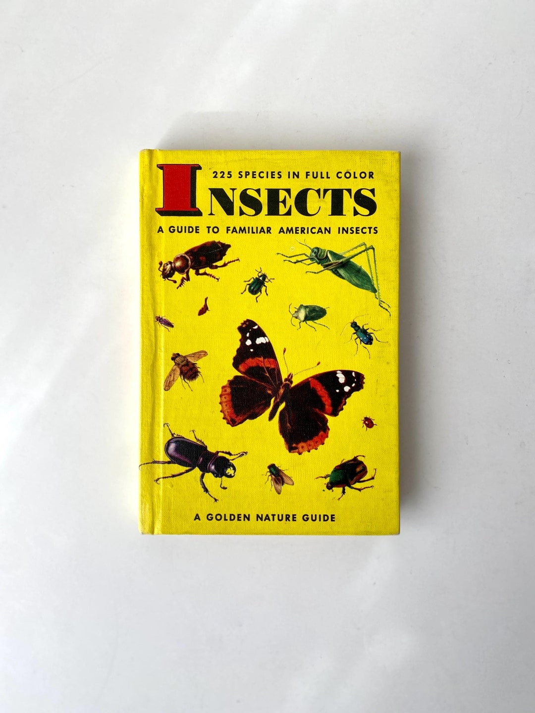 1956 Insects Book, A Guide to Familiar American Insects, Hardcover ...