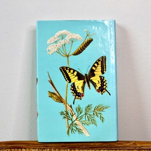 1973 Butterflies Caterpillars and Chrysalides Book, Butterfly Reference ...