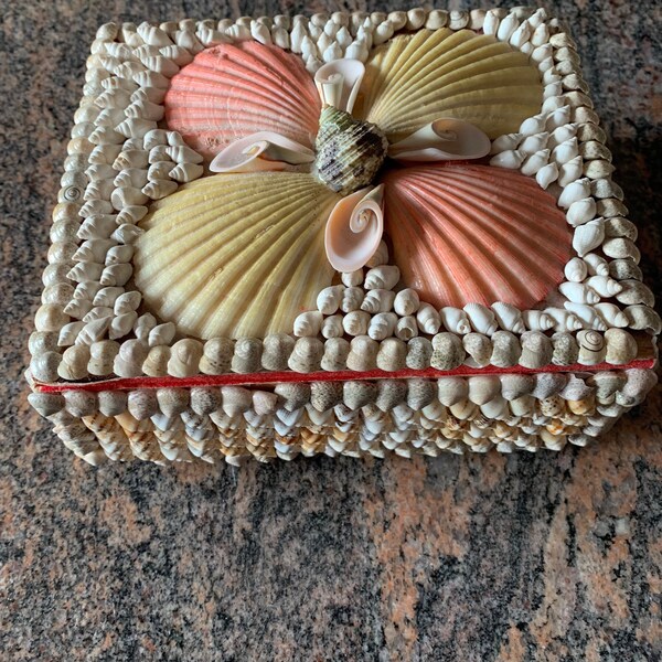 Seashell Jewelry Box - Etsy