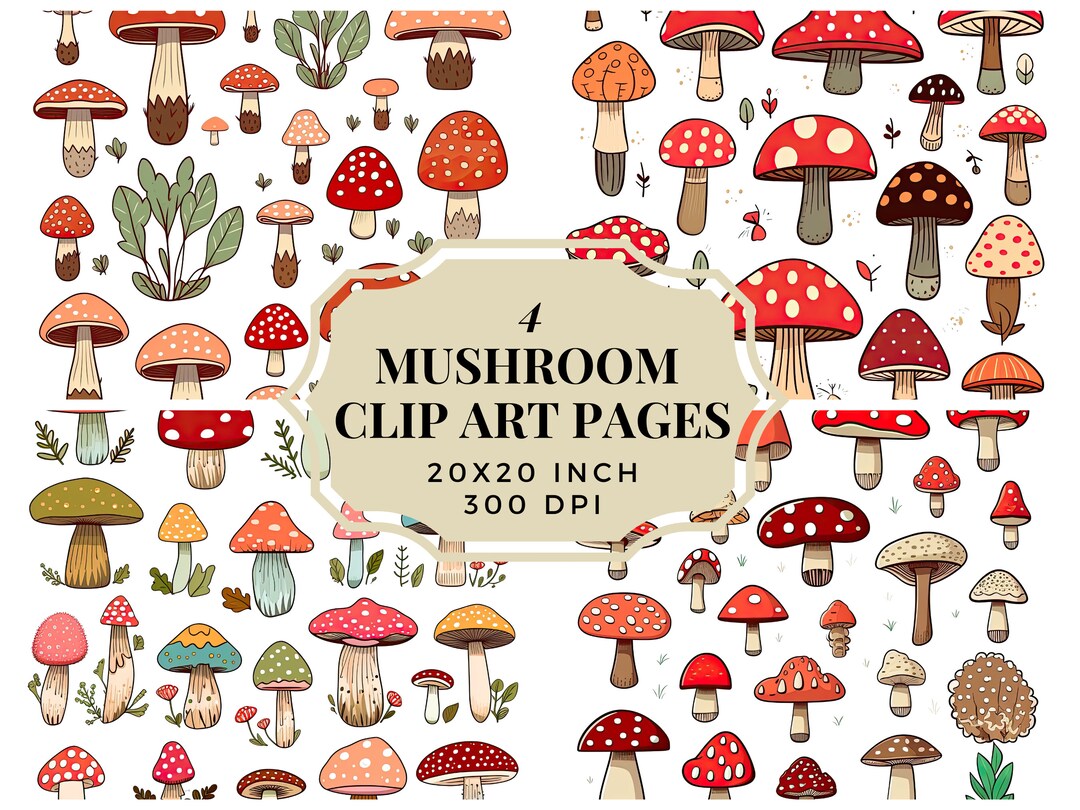 Boho Mushroom Clipart Bundle: Printable PNG Clip Art (digital Download ...