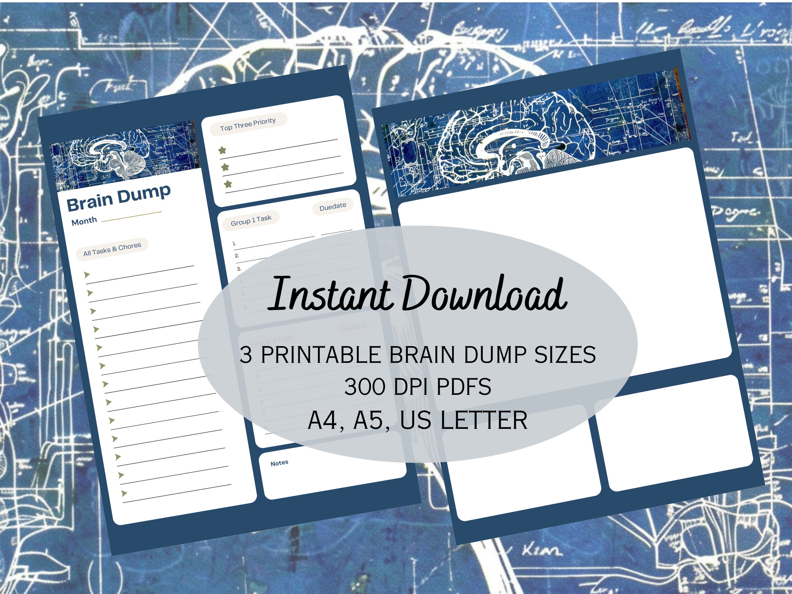 Brain Dump Printable PDF, Thought Organizer, A4/a5/letter Sizes ...