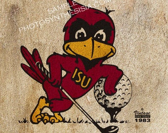 Iowa State University Vintage Walking Cy Coasters | Etsy