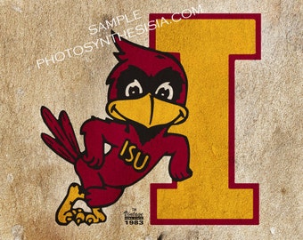 Iowa State University Vintage Walking Cy Coasters | Etsy