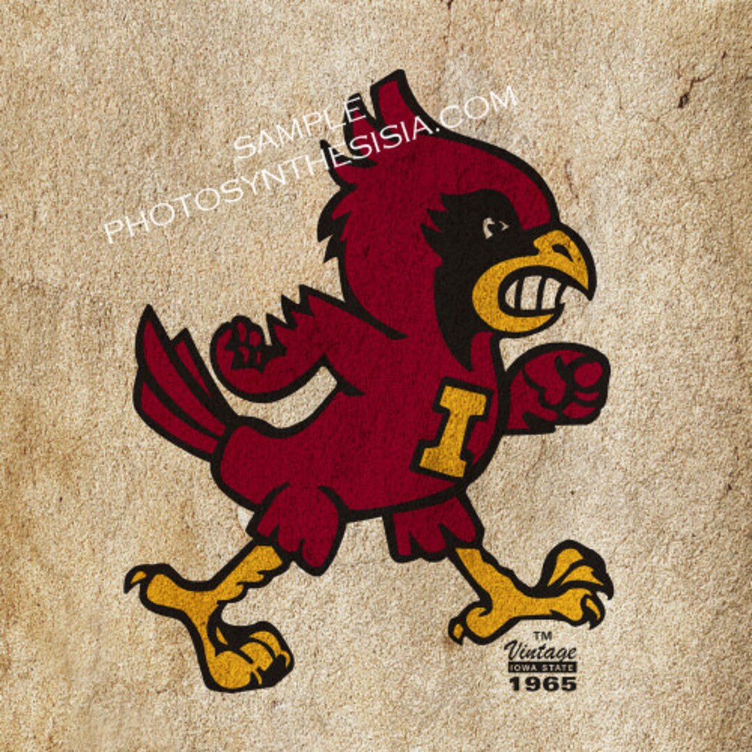 Iowa State University Vintage Walking Cy Coasters - Etsy