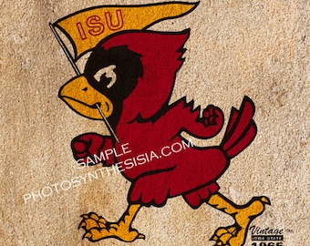 Iowa State University Vintage Leaning Cy Coasters | Etsy