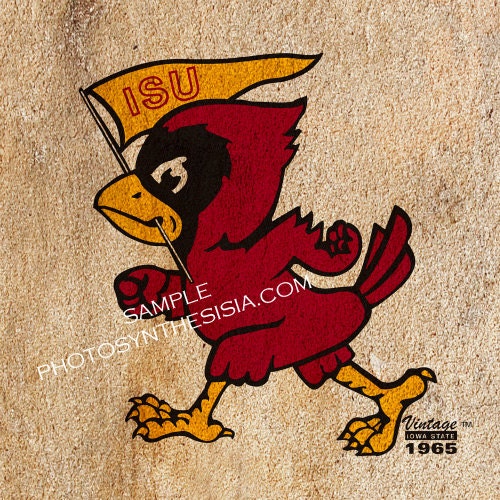 Iowa State University Vintage Pennant Cy Coasters - Etsy