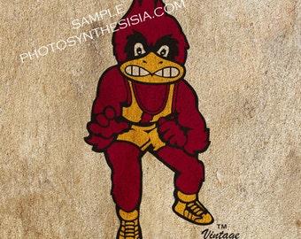 Iowa State University Vintage Walking Cy Coasters | Etsy